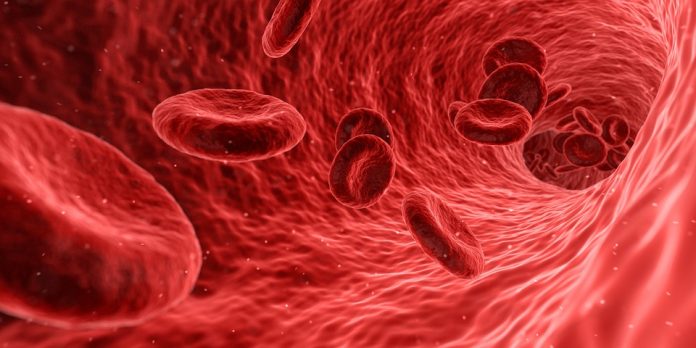Rare ‘Diamond Blood’ Discovery in China Triggers Online Anxiety Over ...