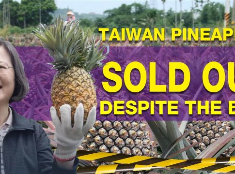 Taiwan and Allies Counter Mainland China’s Pineapple Ban - Vision Times