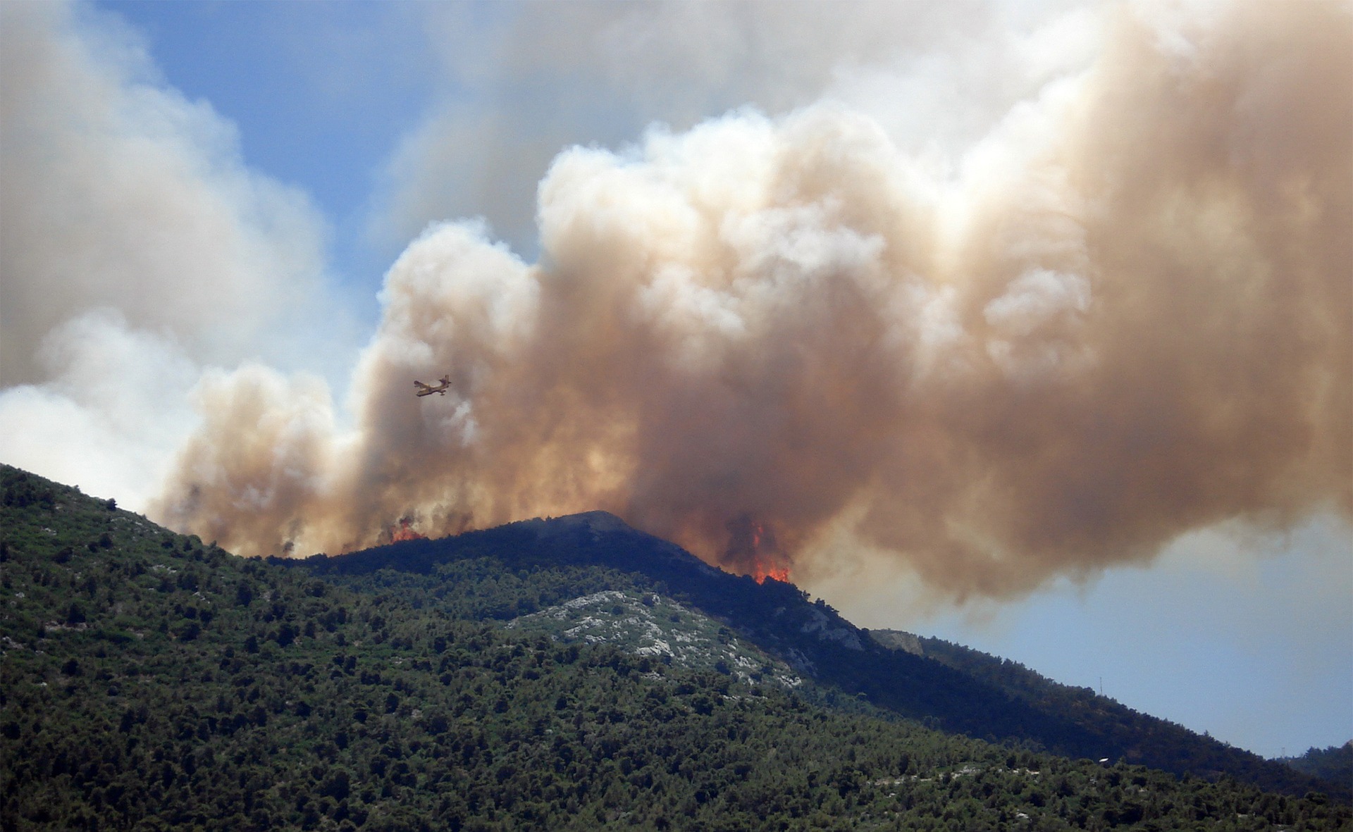 Massive Wildfires Ravage Oregon and California as Heatwave Envelops ...