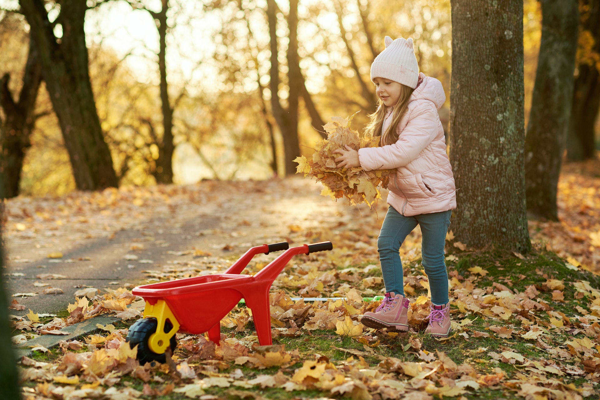 Autumn Activities for All the Family - Vision Times