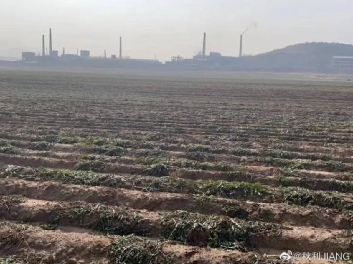 Residents in Northeastern Chinese ‘Cancer Village’ Sign Mass Petition ...