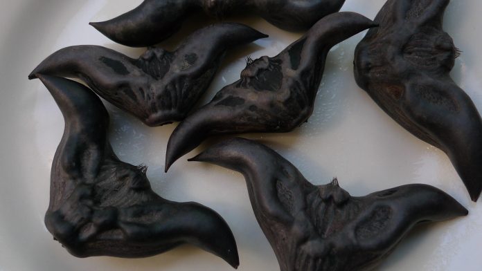 Want a Healthy Halloween Treat? Try the Weird and Wonderful Water ...