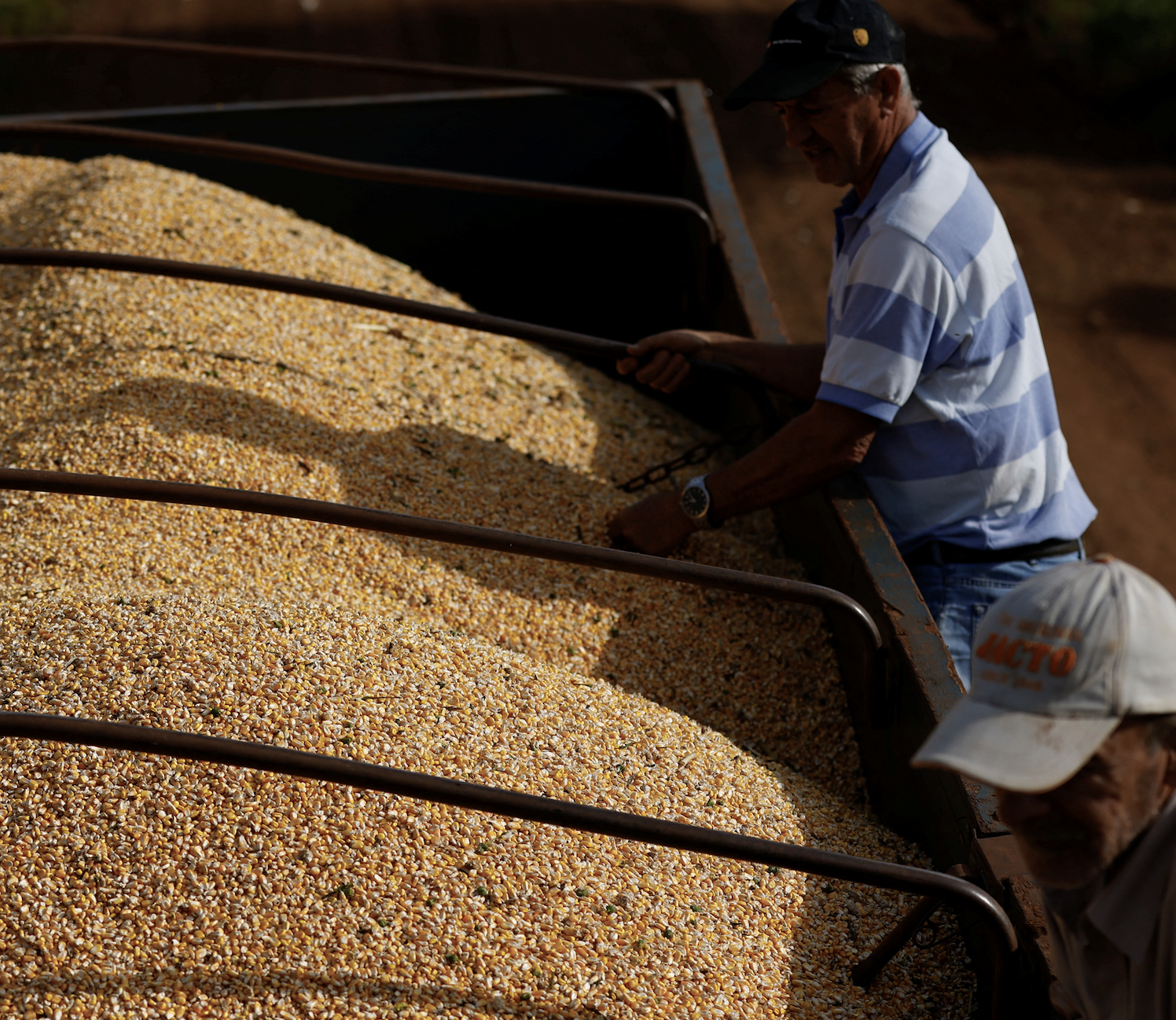 Brazil Moves Closer to China Corn Exports as Beijing Approves Traders ...