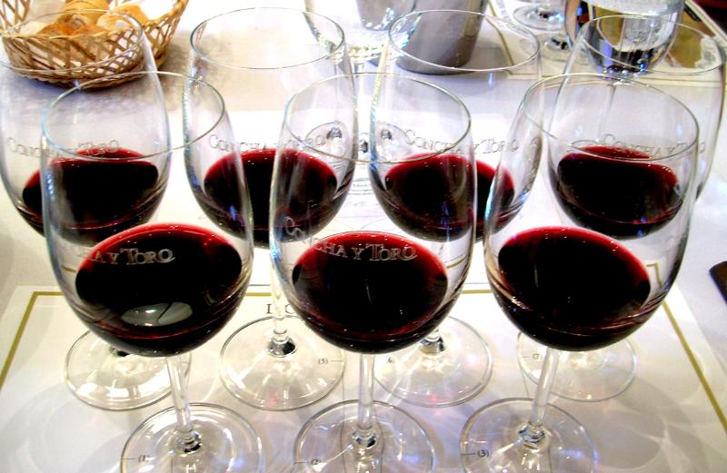 Don Melchor 2020: A Captivating Blend of Chile's Finest Grapes and ...