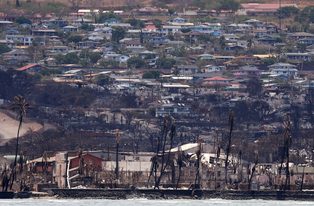 Maui Wildfires Claim Over 110 Lives, Leaving Thousands Homeless as ...