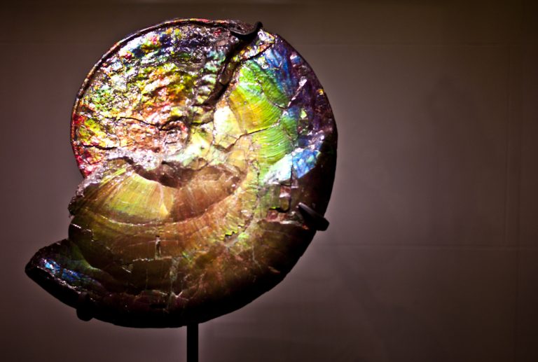 Ammolite – An Iridescent Gemstone Symbolizing Divine Assistance ...