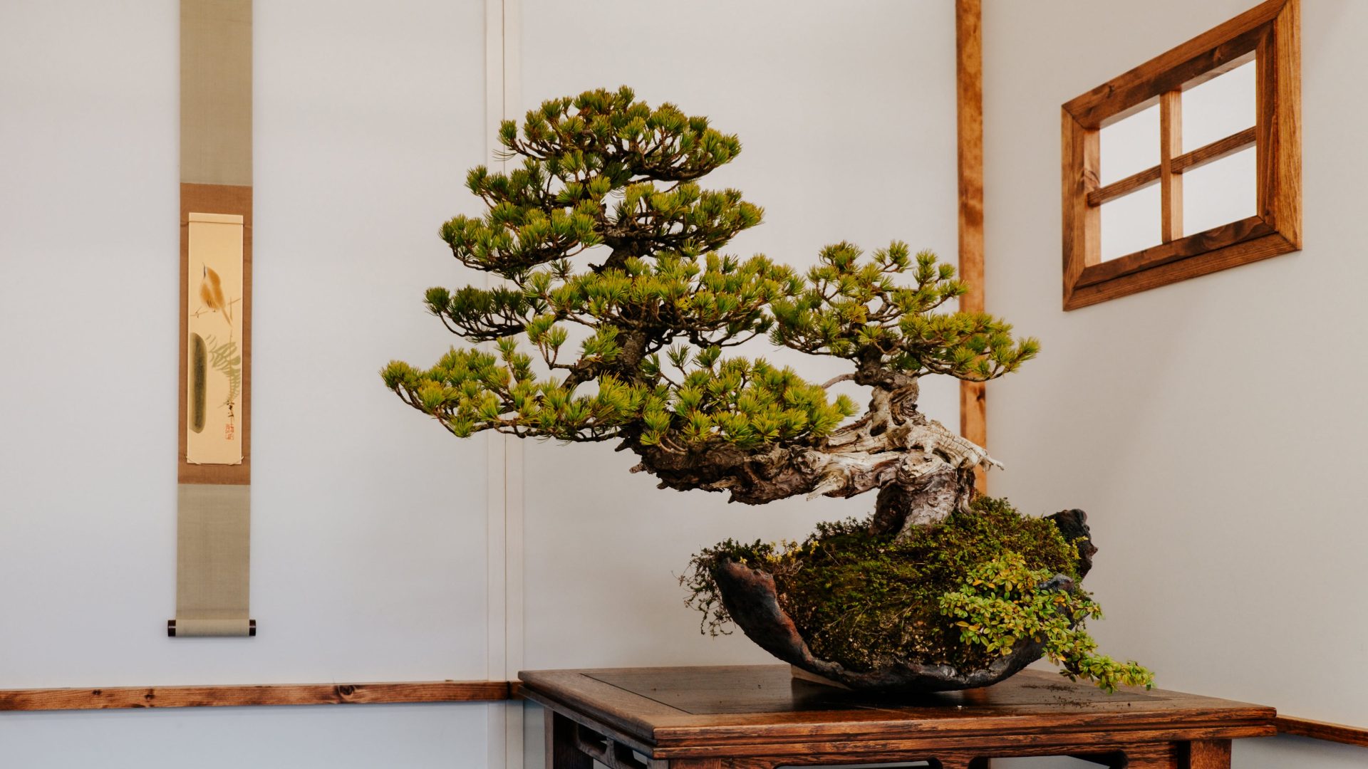 Daisugi – A Solution to Deforestation at the Heart of Japanese Culture ...
