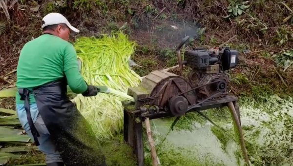 The Fascinating Process Behind the Beauty of Natural Fibers (Part VI ...