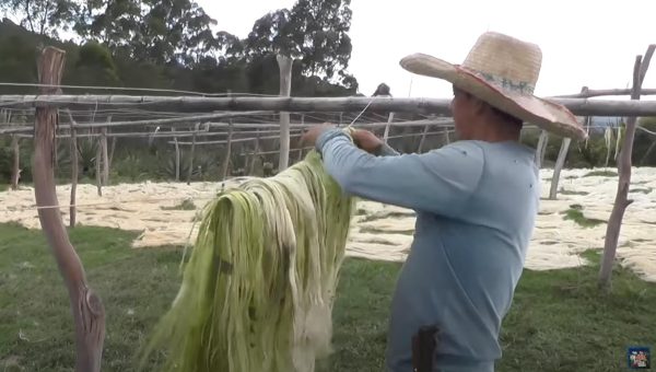 The Fascinating Process Behind the Beauty of Natural Fibers (Part VI ...