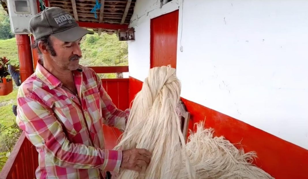 The Fascinating Process Behind the Beauty of Natural Fibers (Part VI ...