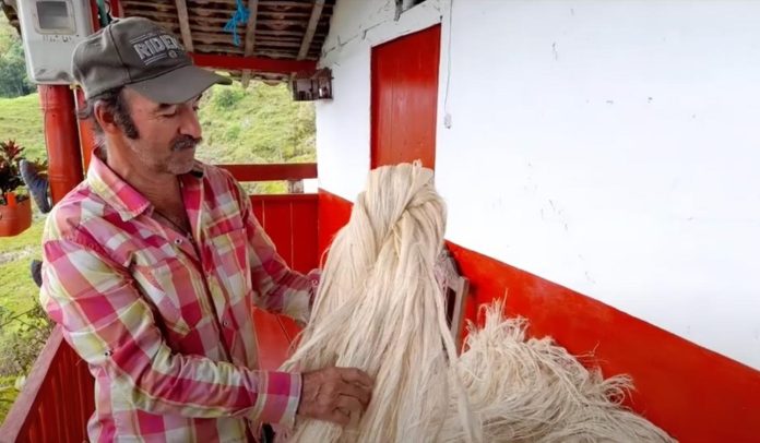 The Fascinating Process Behind the Beauty of Natural Fibers (Part VI ...