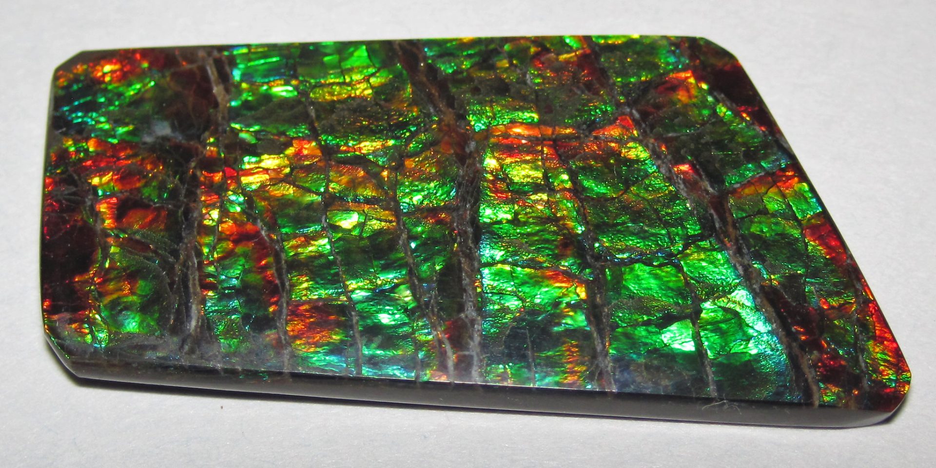 Ammolite – An Iridescent Gemstone Symbolizing Divine Assistance ...