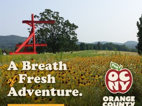 From Hidden Gems to a $1.3 Billion Industry: Inside Orange County ...